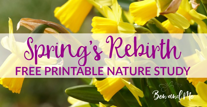 Spring's Rebirth (free nature study printable) - Ben and Me