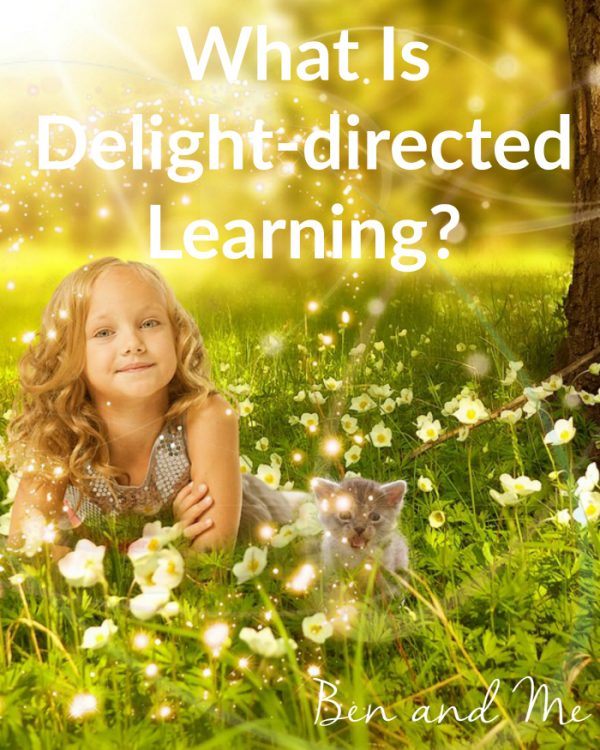 What is Delight-directed Learning?