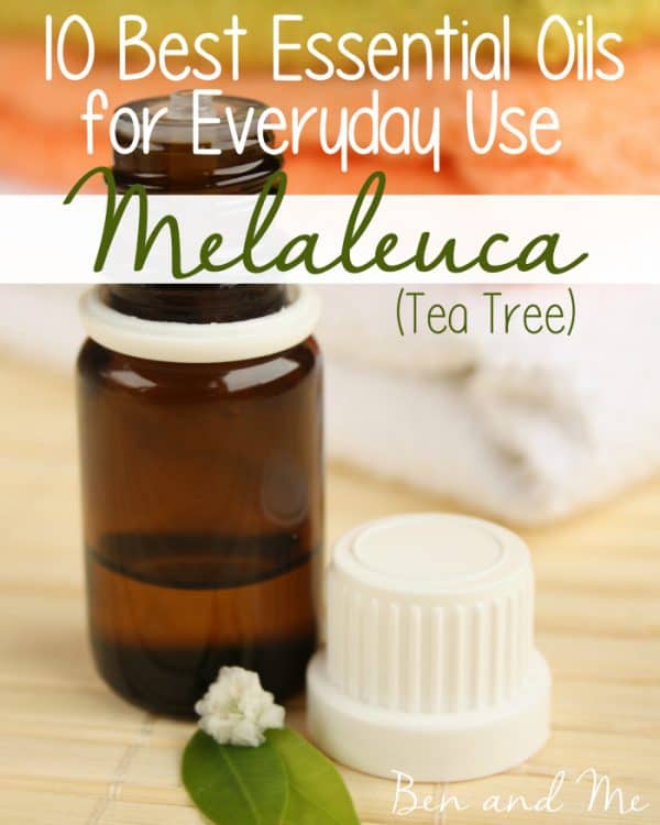 10 Best Essential Oils for Everyday Use - Ben and Me