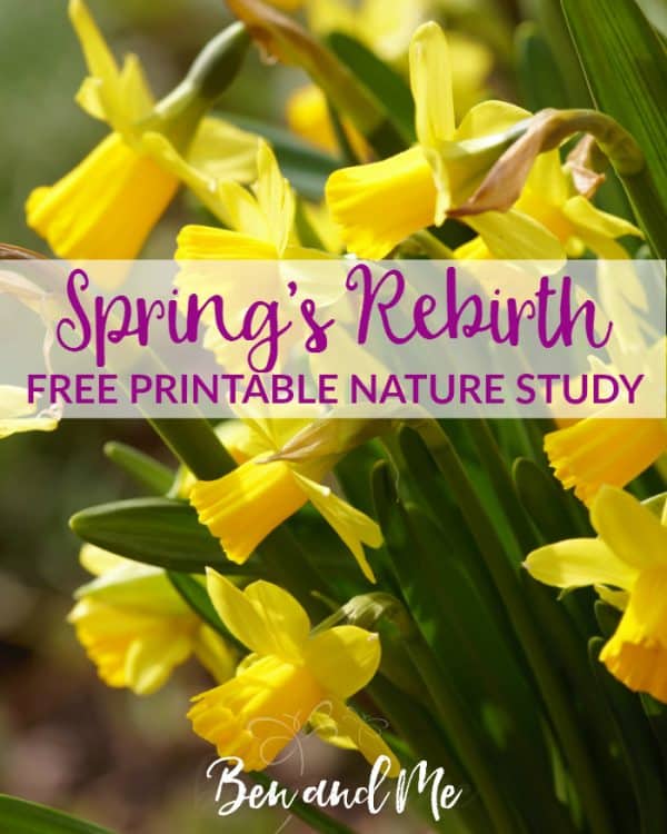 Spring's Rebirth (free nature study printable) - Ben and Me