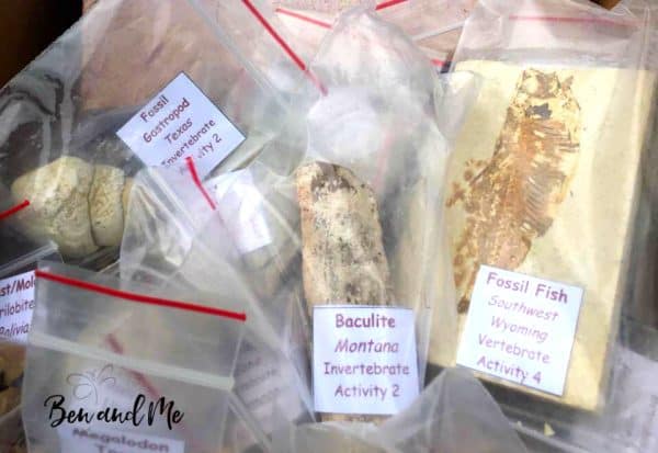 Homeschooling High School Earth Science with a Biblical Worldview - Ben ...