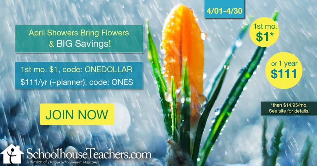 ADHD: Focus vs. Hyper-Focus