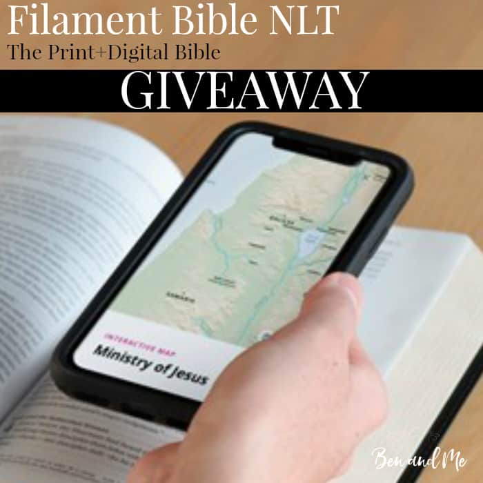 The Filament Bible - Print + Digital - Ben and Me