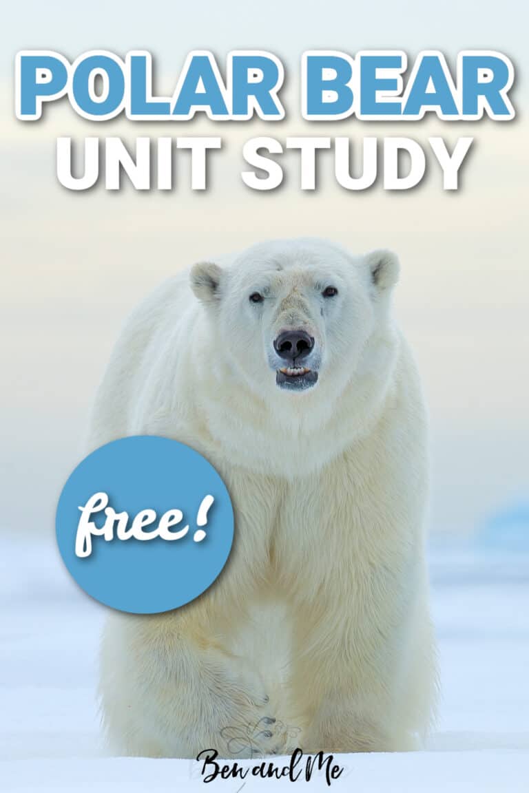 Polar Bear Unit Study with Activities and Theme Resources