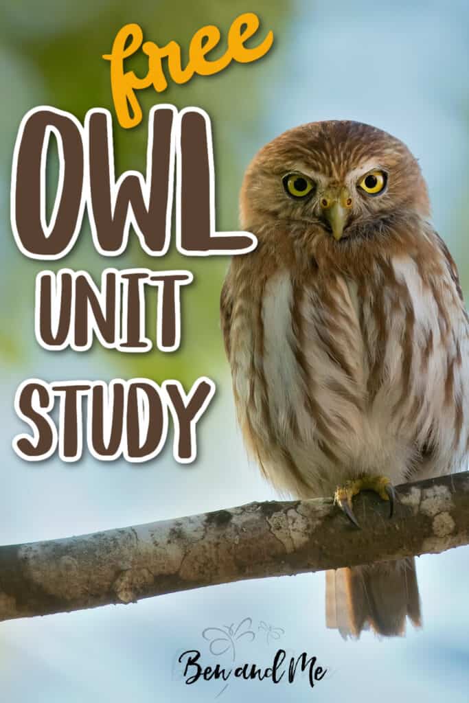 Learn about Owls! FREE Owl Unit Study! - Ben and Me